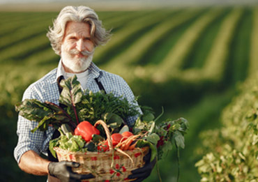 Services carousel – Discomer