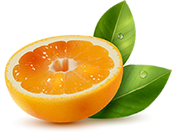 Team carousel – Discomer